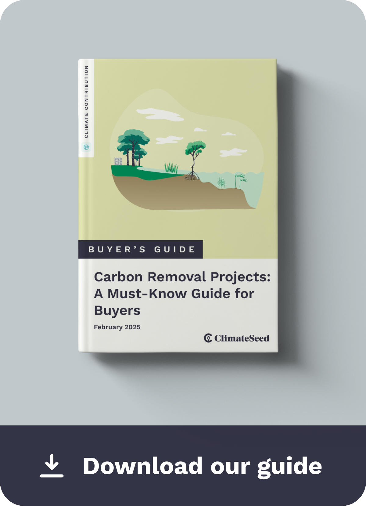 What are Carbon Removal methods?